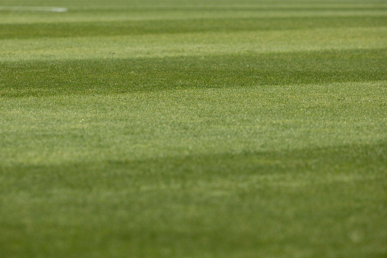 Mundo Positivo » 6 estreias aguardadas envolvendo times do Brasileirão ...